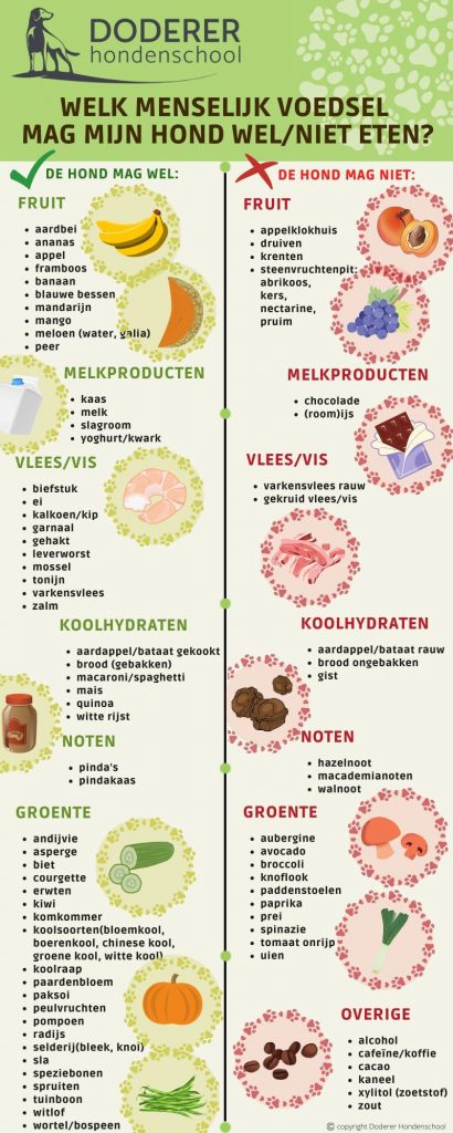 Welk eten mag ik mijn hond geven? [Infographic] | Doderer Hondenschool