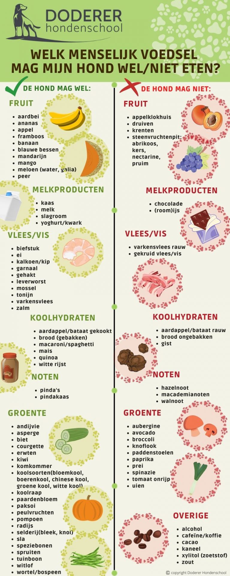 Welk eten mag ik mijn hond geven? [Infographic] | Doderer Hondenschool